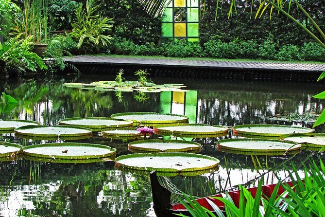 Penang Round Island Tour With Tropical Spice Garden & Entopia Butterfly Farm - Practicalities & Considerations