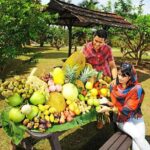 Penang Tropical Fruit Farm with Fruit Tasting - The Scenic Setting & Why It Matters