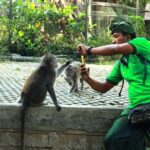 Perfect Day Trip to Ubud - In-Depth Breakdown of the Itinerary