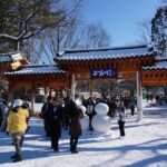 [Perfect Private Tour] Nami island, Petite France and Organic Strawberry Farm - In-Depth Look at the Itinerary