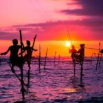 Personal Driver For Your Two Weeks Round Tour In Sri Lanka - What Travelers Are Saying