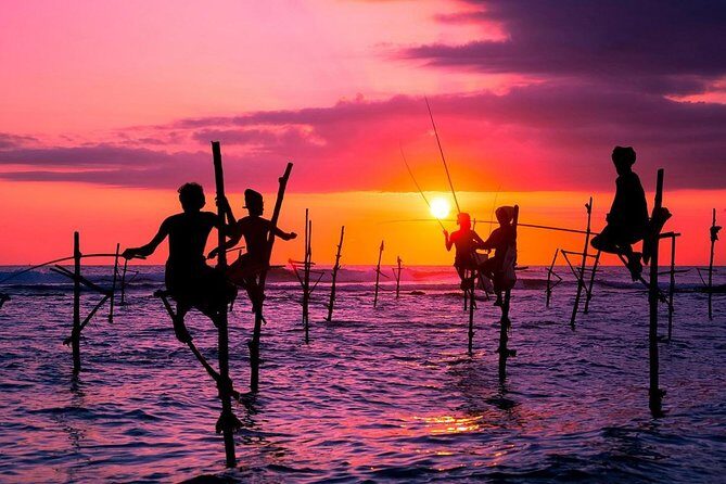 Personal Driver For Your Two Weeks Round Tour In Sri Lanka - What Travelers Are Saying