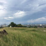 Personal Guide to Starbuk's Banawa, Cebu City - What’s Included & Why It Matters