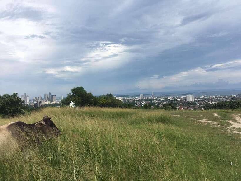 Personal Guide to Starbuk's Banawa, Cebu City - What’s Included & Why It Matters