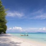 Phi Phi & Bamboo Islands Full-Day Tour by Speedboat From Phuket - Analyzing the Value: Is It Worth It?