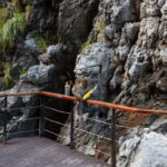 Phi Phi Half Day or Full Day by Longtail to Maya and Bamboo - The Real Experiences: Authentic Feedback