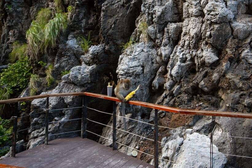 Phi Phi Half Day or Full Day by Longtail to Maya and Bamboo - The Real Experiences: Authentic Feedback