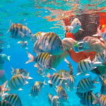 Phi Phi Half Day Tour Speed Boat Tour - Authenticity and Value: What Travelers Say