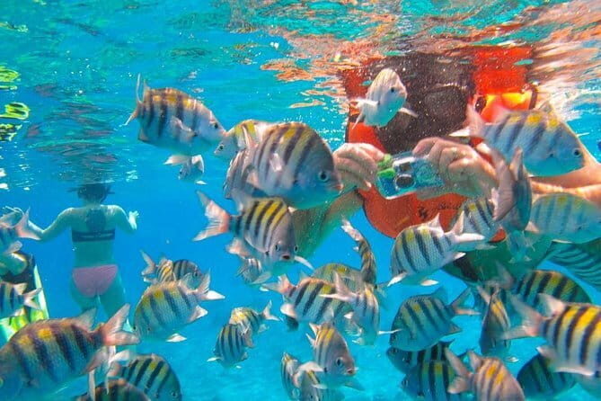 Phi Phi Half Day Tour Speed Boat Tour - Authenticity and Value: What Travelers Say