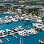 Phi Phi Island Private Transfer from Phuket via Speedboat - Authentic Experiences on the Water: What You’ll See