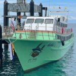Phi Phi Island to Krabi Town by Ferry - Who is This Ferry Best For?