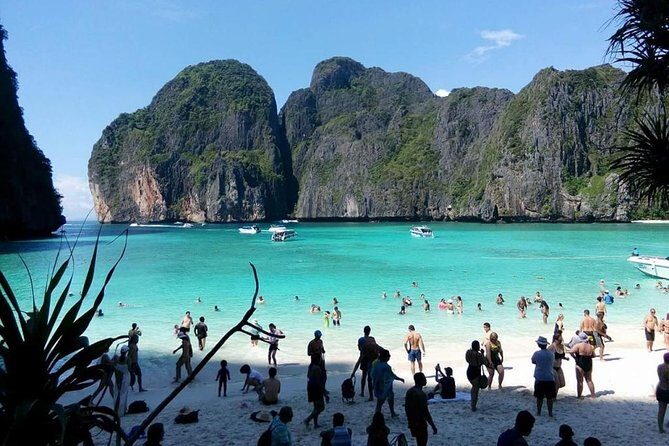 Phi Phi Island Tour by Speedboat from Krabi with Lunch (SHA Plus) - Authentic Insights from Travelers