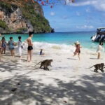 Phi Phi Islands Adventure Day Trip with Seaview Lunch - What Travelers Can Expect