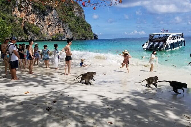 Phi Phi Islands Adventure Day Trip with Seaview Lunch - What Travelers Can Expect