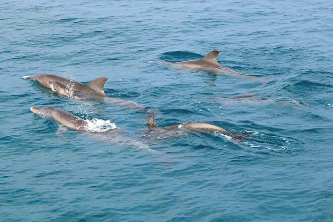 Phi Phi, Maiton, Khai Island Sunset Romantic Trip By Phuket Seahorse Marine - Final Thoughts