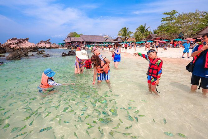 Phi Phi Maiton Khai Maiton Premium Tour - The Practical Perspective: What Travelers Should Know