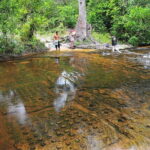 Phnom Kulen National Park, Kulen Mountain Waterfall Tour - Authentic Insights and Traveler Experiences