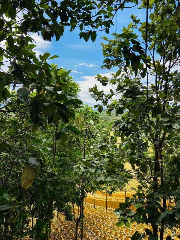 Phnom Penh: Buddha Kiri and Phnom Tamao Zoo Private Day Trip - The Experience in Detail