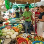 Phnom Penh Silk Island Haft Day Vespa Tour - Who Is This Tour Best For?