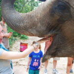 Phnom Tamao Wildlife Center & Buddha Kiri Cambodia Day Tour - Detailed Breakdown of the Itinerary