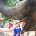 Phnom Tamoa Wildlife Rescue Center, Buddha Kiri Cambodia Day Tour - Deepening Your Experience: The Value and Authenticity