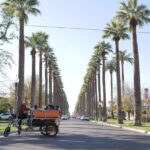 Phoenix Downtown Personalized Pedicab Tours - FAQ About Phoenix Downtown Pedicab Tours
