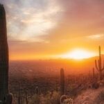 Phoenix Landmarks Tour Desert Botanical Garden - Who Will Love This Tour?