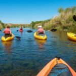Phoenix: Self-Guided Kayaking Trip to Foxtail - Whats Included and What to Consider