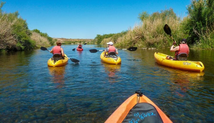 Phoenix: Self-Guided Kayaking Trip to Foxtail - Whats Included and What to Consider