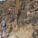 Phoenix South Mountain Hiking Tour Experience - The Itinerary: A Day in the Desert