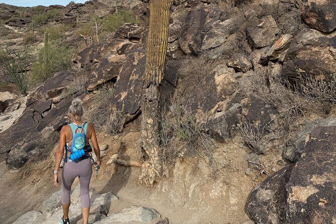 Phoenix South Mountain Hiking Tour Experience - The Itinerary: A Day in the Desert