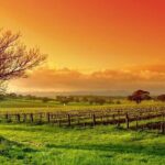 Phoenix Vortex to Vineyard Shared Tour - Wineries: Savoring the Verde Valley