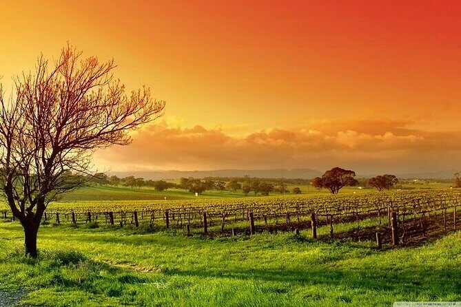 Phoenix Vortex to Vineyard Shared Tour - Wineries: Savoring the Verde Valley