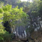 PHONG NHA CAVE & PARADISE CAVE - The Experience of the Wildlife Rescue Center