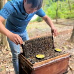 Phu Quoc Northern Island Kayak Adventure Day Trip - Authentic Natural Encounters and Cultural Insights