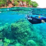 [Phu Quoc] Private Speedboat & Short-Snorkel: South Hidden Reefs - FAQ