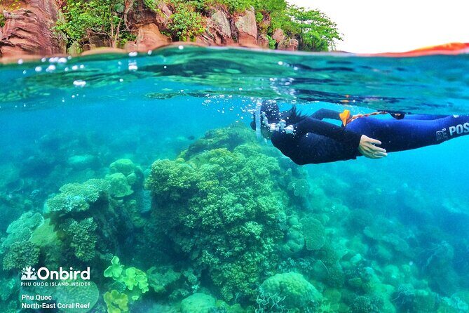 [Phu Quoc] Private Speedboat & Short-Snorkel: South Hidden Reefs - FAQ