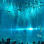 Phu Quoc VinWonders Theme Park And Safari Wildlife Tour - Breaking Down the Itinerary