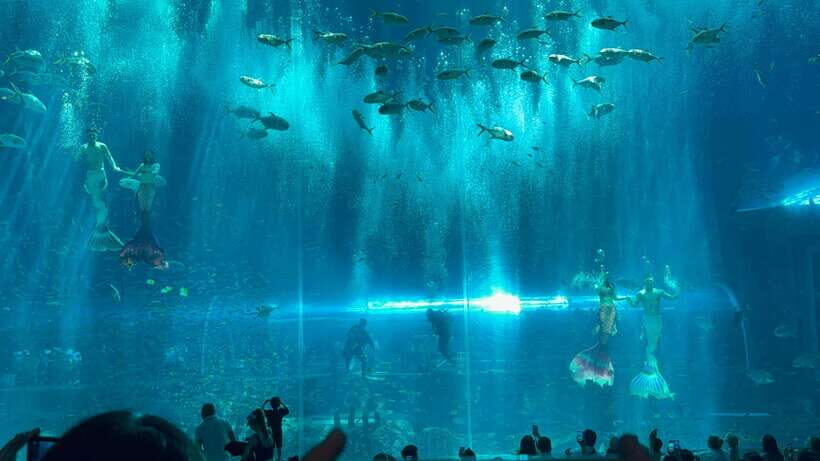 Phu Quoc VinWonders Theme Park And Safari Wildlife Tour - Breaking Down the Itinerary