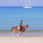 Phuket Beach and Horse Rides 1 Hour Experience - The Value in Context