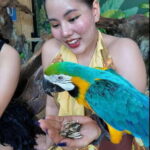 Phuket: Bird Park Entry Ticket - What to Expect at Phuket’s Bird Park