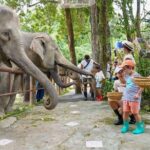 Phuket City Tour & Elephant Sanctuary: Sights, Tastes, Culture - Authentic Experience and Overall Value
