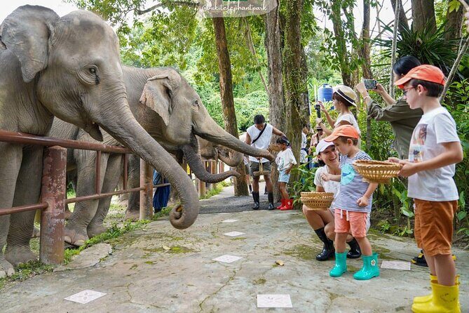 Phuket City Tour & Elephant Sanctuary: Sights, Tastes, Culture - Authentic Experience and Overall Value