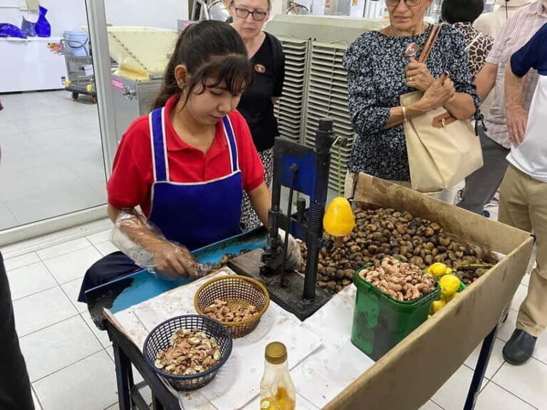 Phuket City Tour with Night Market Visit & Elephant Feeding - Detailed Stop-by-Stop Breakdown