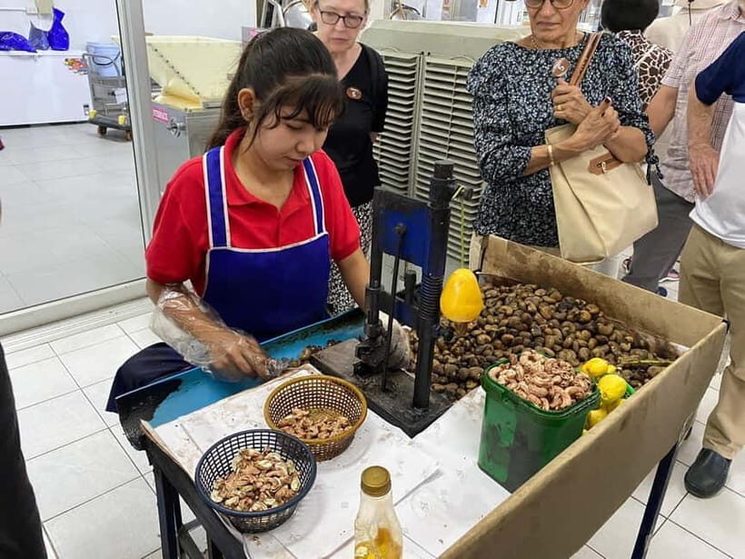 Phuket City Tour with Night Market Visit & Elephant Feeding - Detailed Stop-by-Stop Breakdown