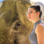 Phuket: Elephant Feeding Program - The Sum Up: Who Would Enjoy This Tour?