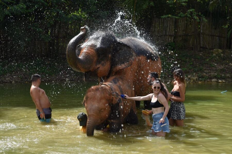 Phuket: Half Day or 2-Hour Ethical Elephant Care Sanctuary - What to Expect: A Deep Dive into the Elephant Care Experience
