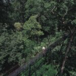 Phuket: Hanuman World Zip Line Adventure - Final Thoughts: Is It Worth It?