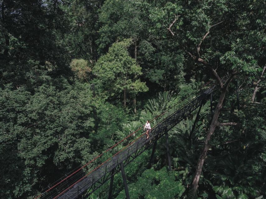 Phuket: Hanuman World Zip Line Adventure - Final Thoughts: Is It Worth It?