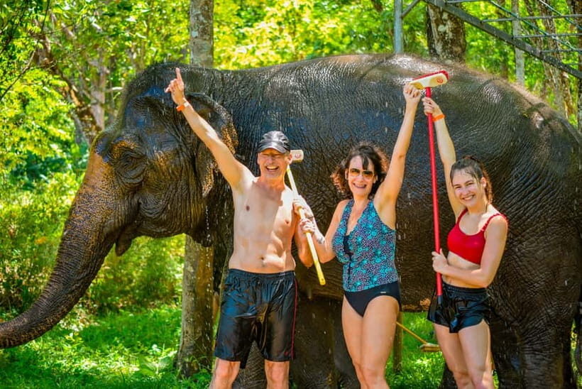 Phuket: Happy Hour Feed and Rain Shower with Elephant - Why We Love This Tour
